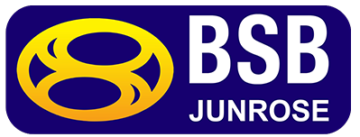 BSB JUNROSE AUTO PARTS CORP.